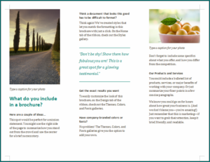 Free Editable Pamphlet Template (Word)