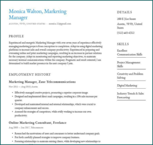 Editable Simple Resume Template (Word)