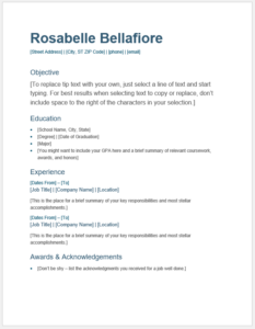 Editable Simple Resume Template (Word)